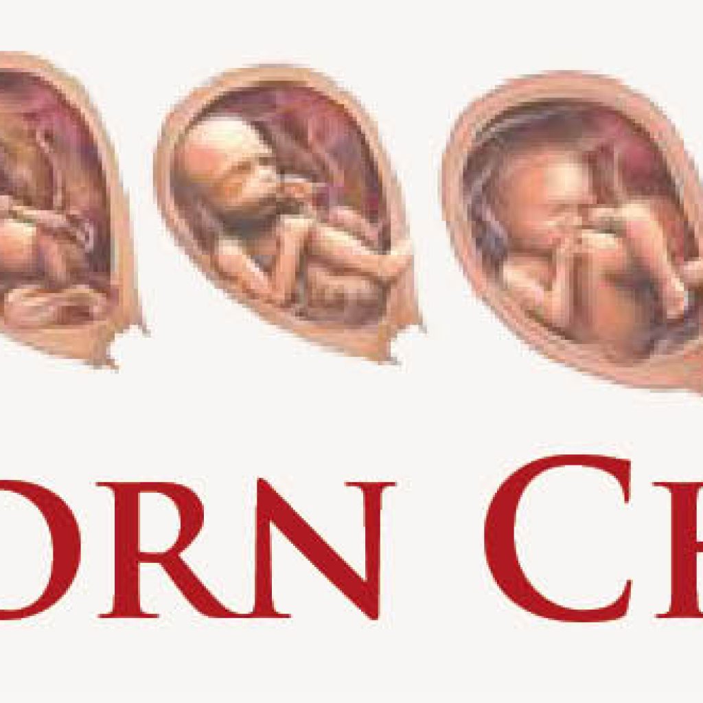 Day-of-the-Unborn-Banner | Life and Family Institute