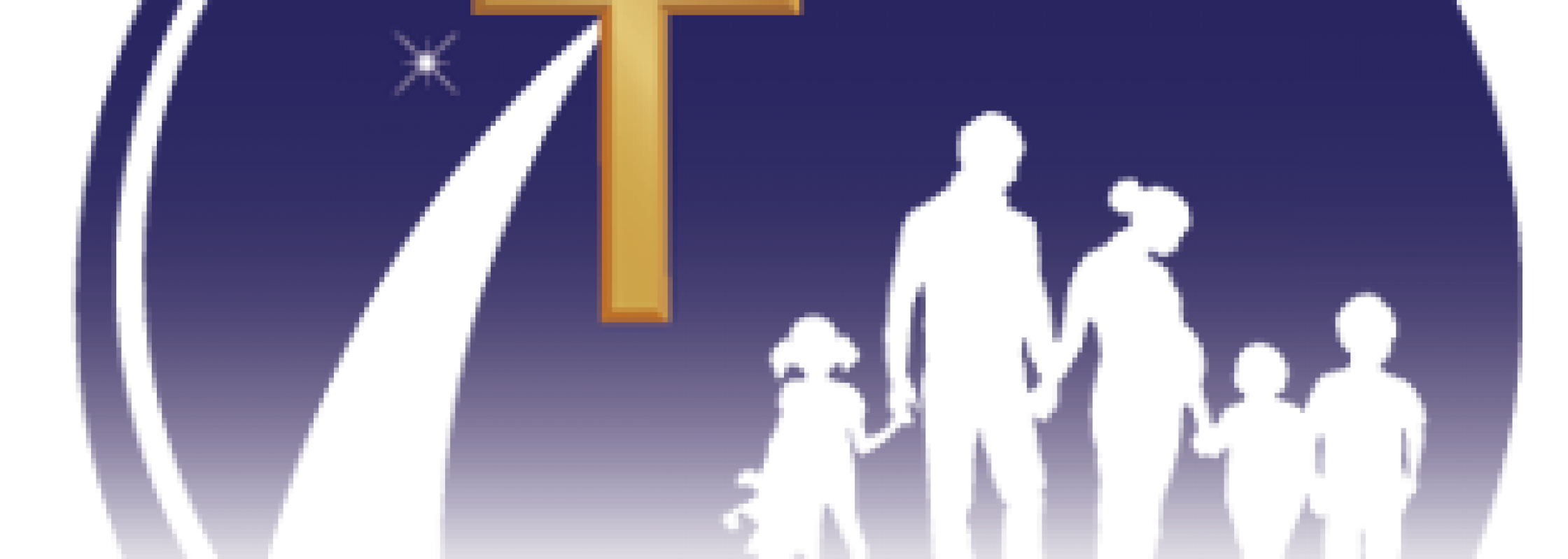 lfi-logo | Life and Family Institute